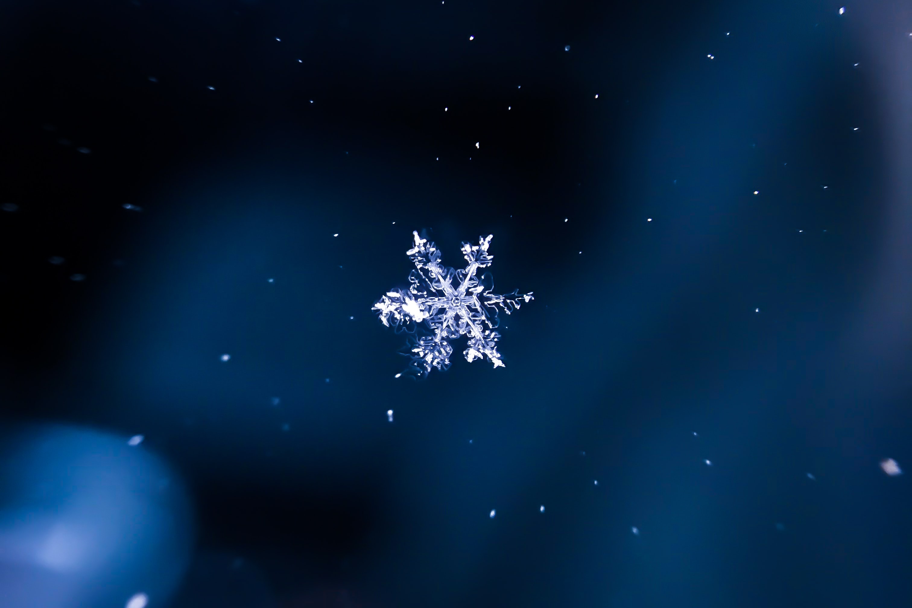 Twitter Snowflake for Generating Unique IDs in Distributed Systems ... Twitter Snowflake for Generating Unique IDs in Distributed Systems ...